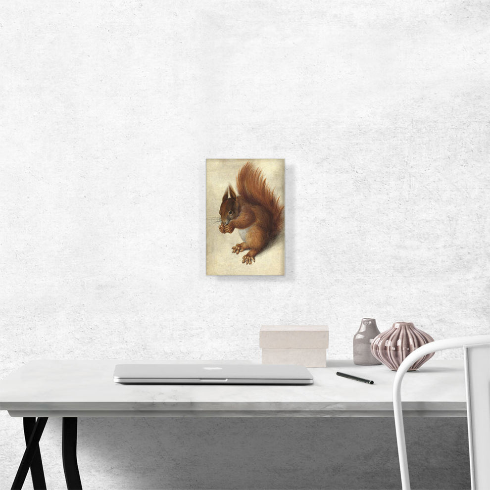 Red Squirrel 1578 Canvas Art Print for Sale – ARTCANVAS Inc.